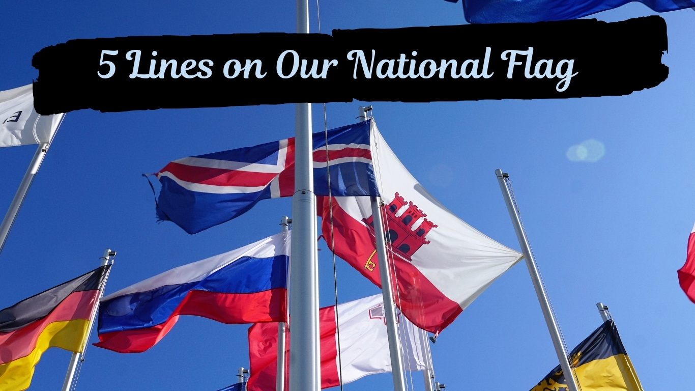 5 Lines on Our National Flag: Class-wise Insights for Kids » StudyPrintable
