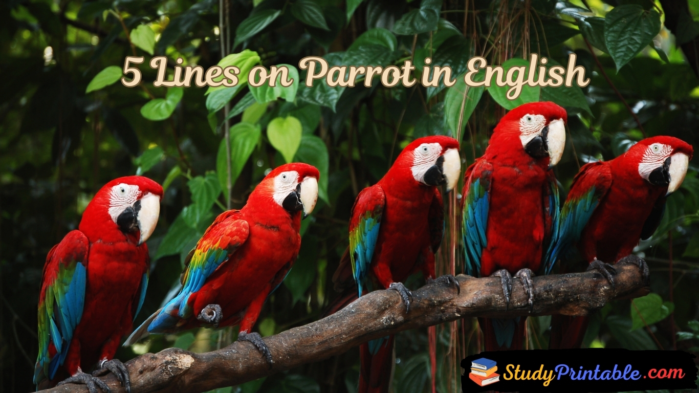 5 Lines on Parrot in English: Engaging Class 1 & Pet Parrot Facts ...