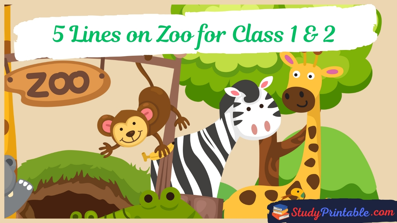 5 Lines on Zoo in English: Engage Young Minds » StudyPrintable