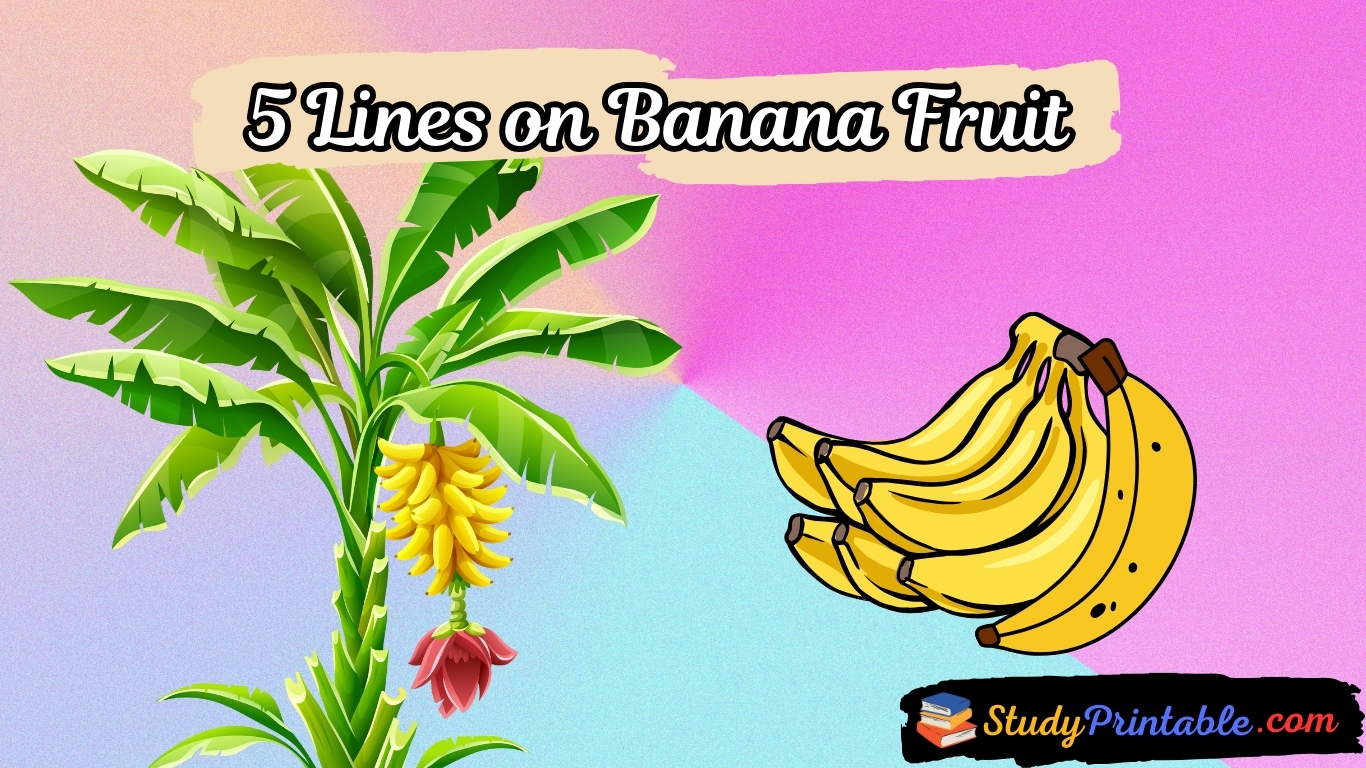 5 Lines on Banana Fruit: Fun Facts for Kids » StudyPrintable