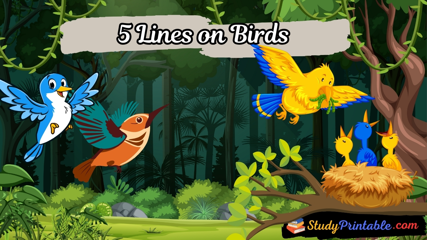 5 Lines on Birds: Fascinating Facts About Our Feathered Friends ...