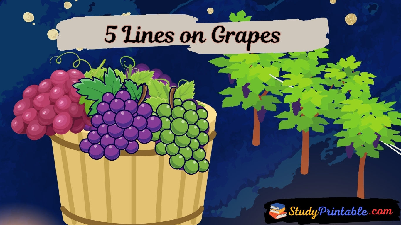 5 Lines on Grapes: Fun Facts for Kids » StudyPrintable