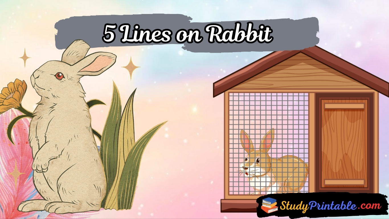 5 Lines on Rabbit: Fascinating Facts About Bunnies » StudyPrintable