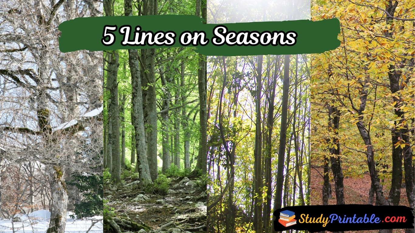 5 Lines on Seasons : Captivating Variations for Kids » StudyPrintable